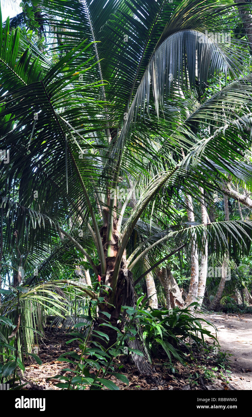 Self guided hiking trail hi-res stock photography and images - Alamy
