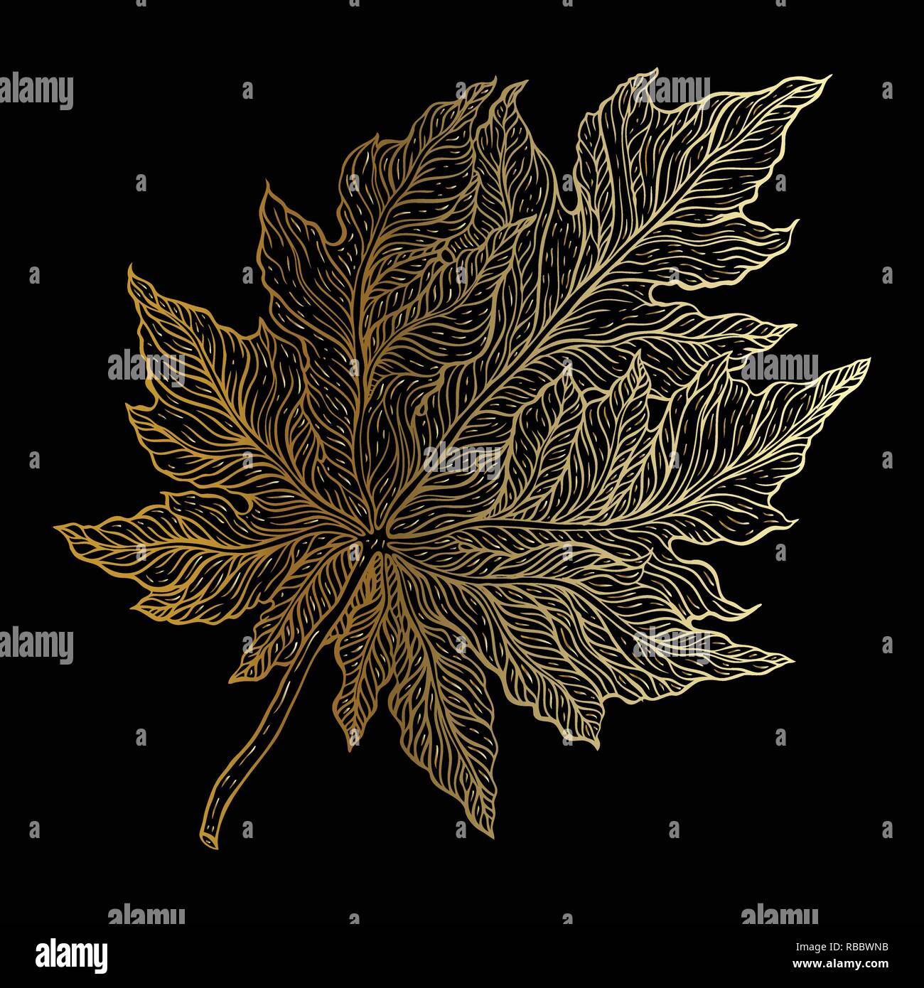Outline Leaf. Hand drawn Monochrome realistic illustration Stock Vector ...