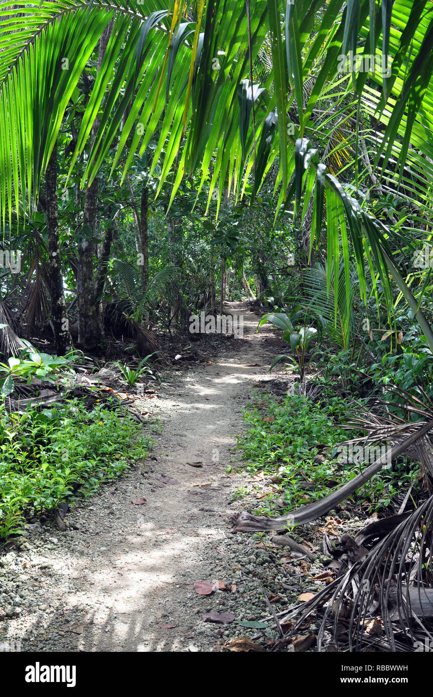 A Dirt Path through Cahuita National Park in Costa Rica Stock Photo - Alamy