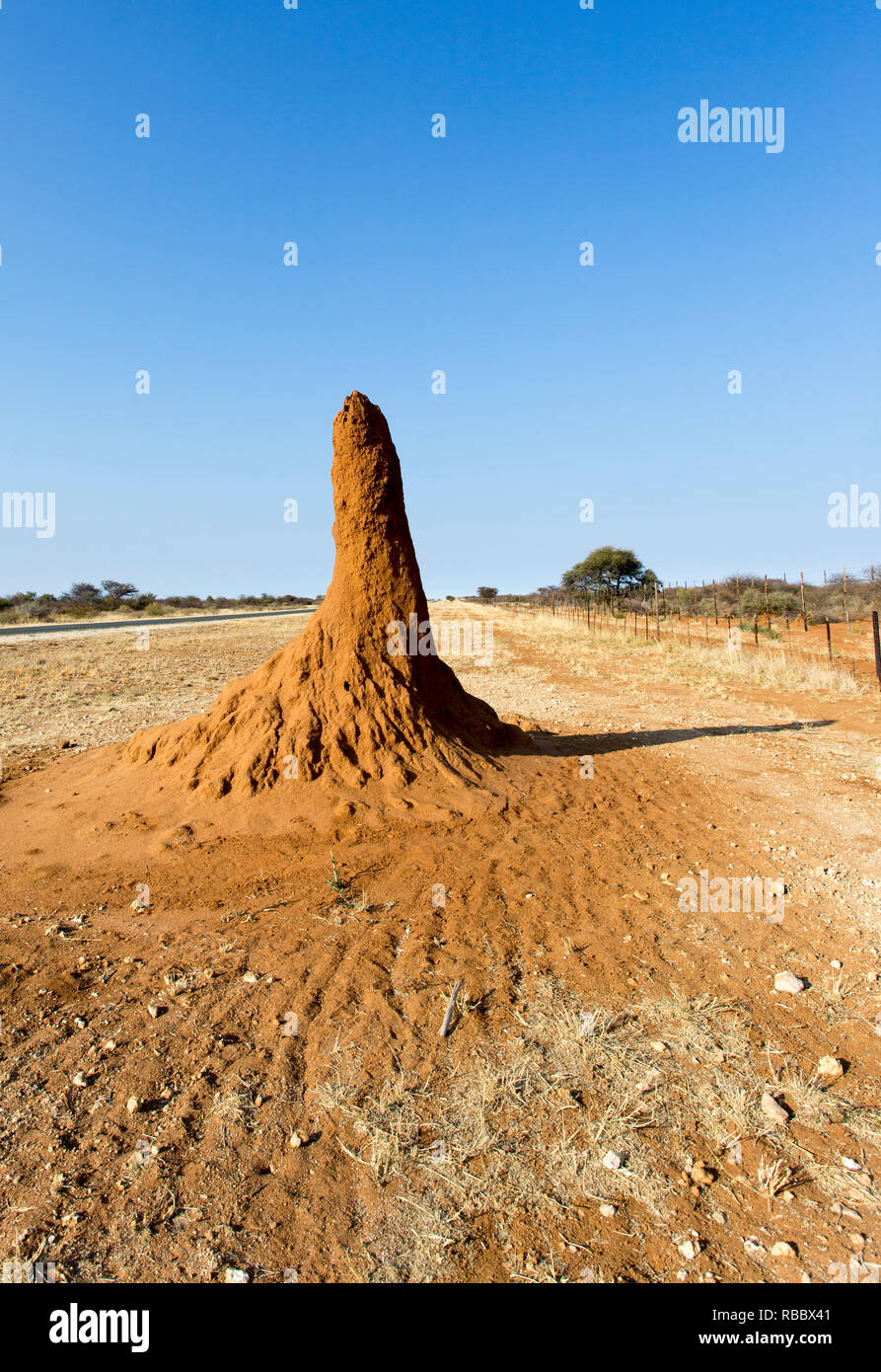 termite mound along a street in Namibia Stock Photo - Alamy