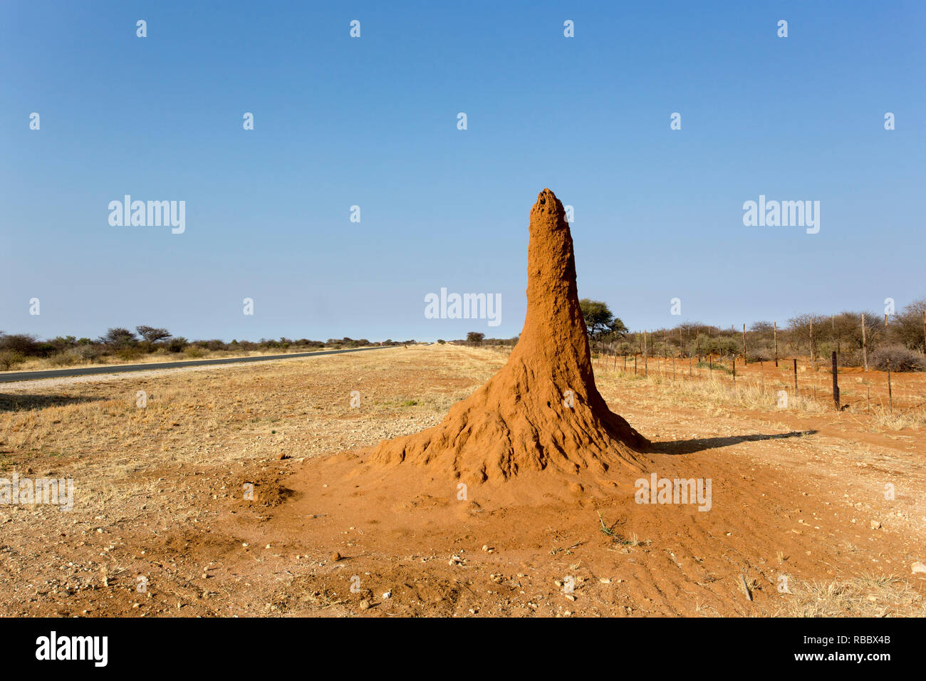 Conical termite mound hi-res stock photography and images - Alamy