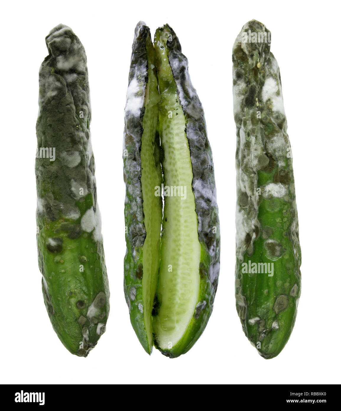 Rotten Cucumbers on White Background Stock Photo - Alamy