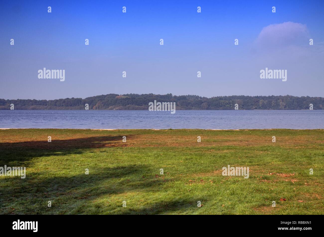 Beautiful landscape with green grass and nice trees Stock Photo - Alamy