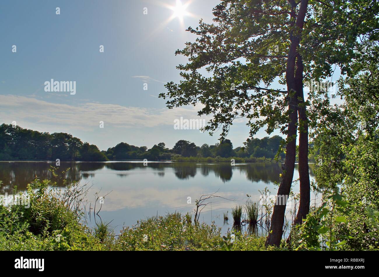 Beautiful lake view in a northern germany summer Stock Photo - Alamy