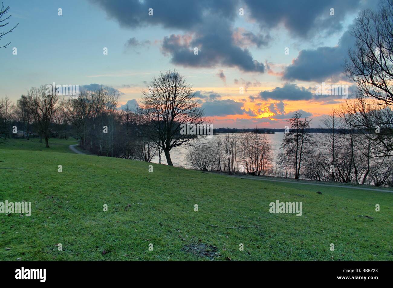 Beautiful landscape with green grass and nice trees in northern Germany ...