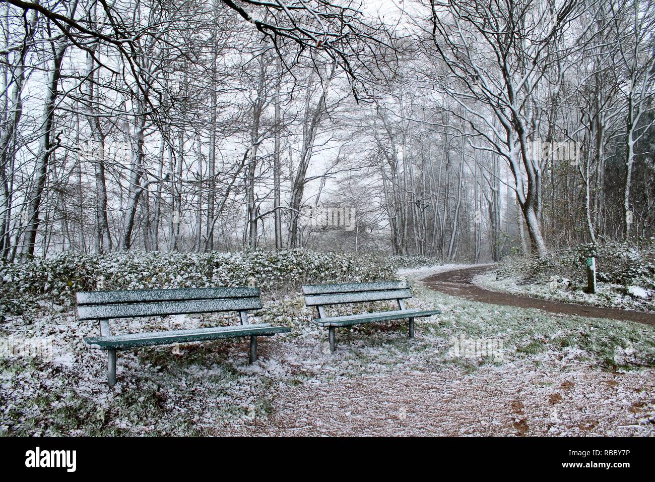 Beautiful winter landscape with snow and ice Stock Photo - Alamy