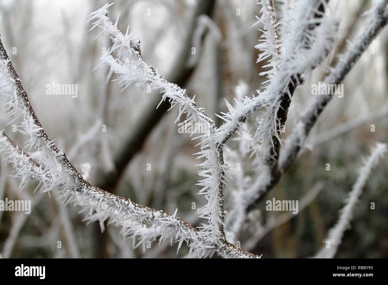 Beautiful winter landscape with snow and ice Stock Photo - Alamy