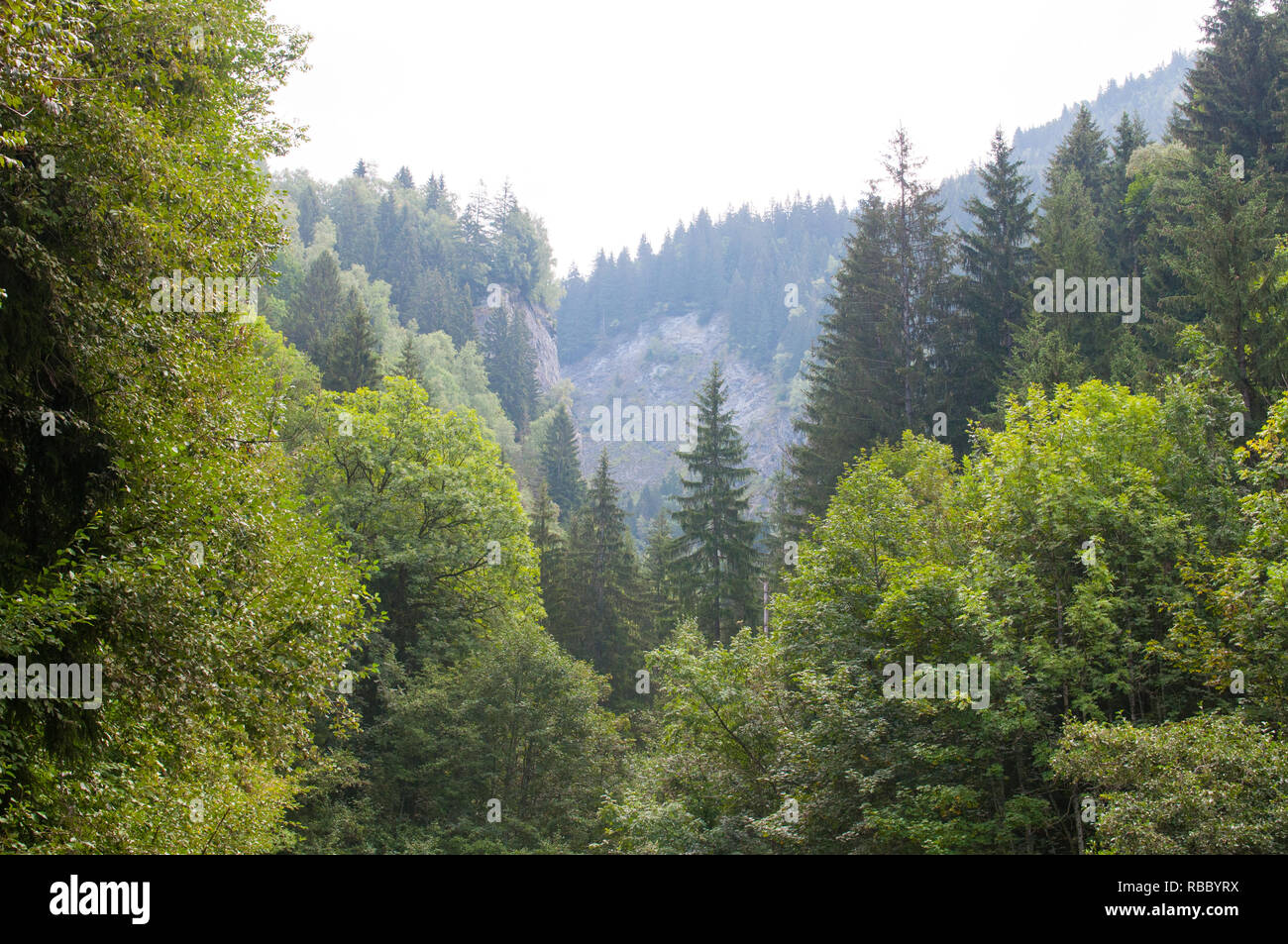 Western Alps are the western part of the Alpine range Stock Photo - Alamy