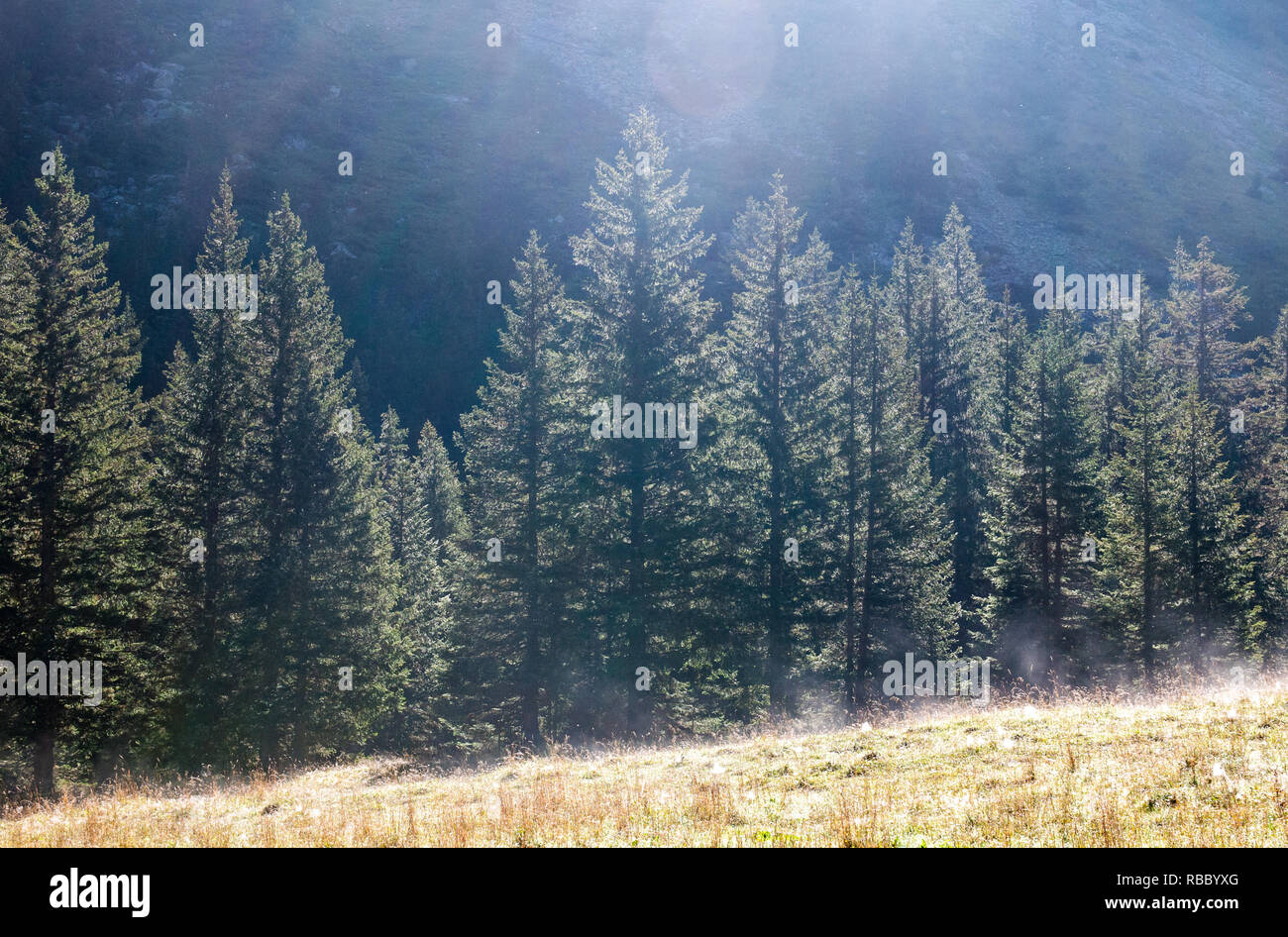 Western Alps are the western part of the Alpine range Stock Photo - Alamy