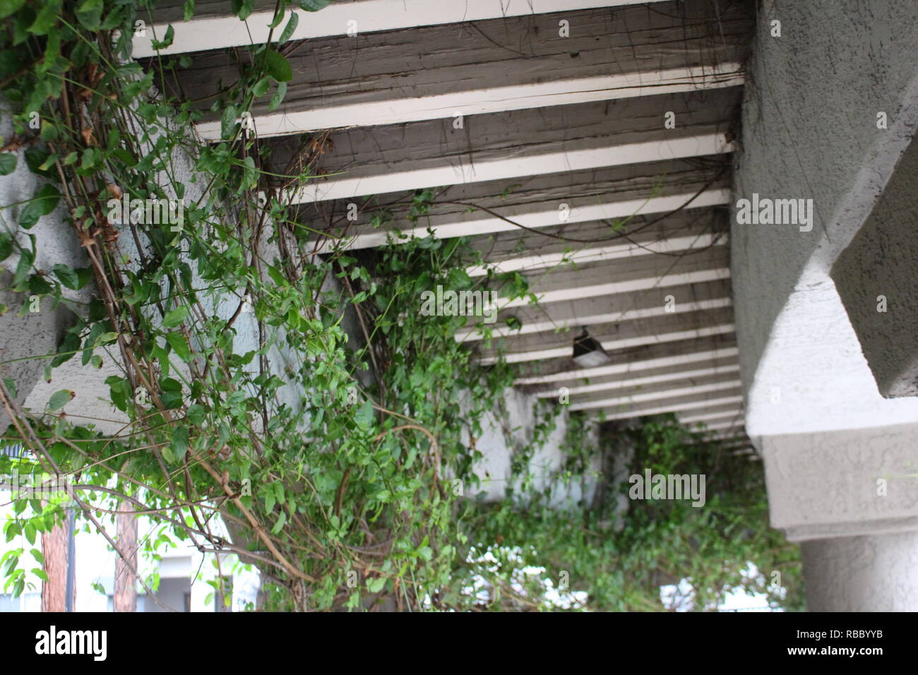 Structural art hi-res stock photography and images - Alamy