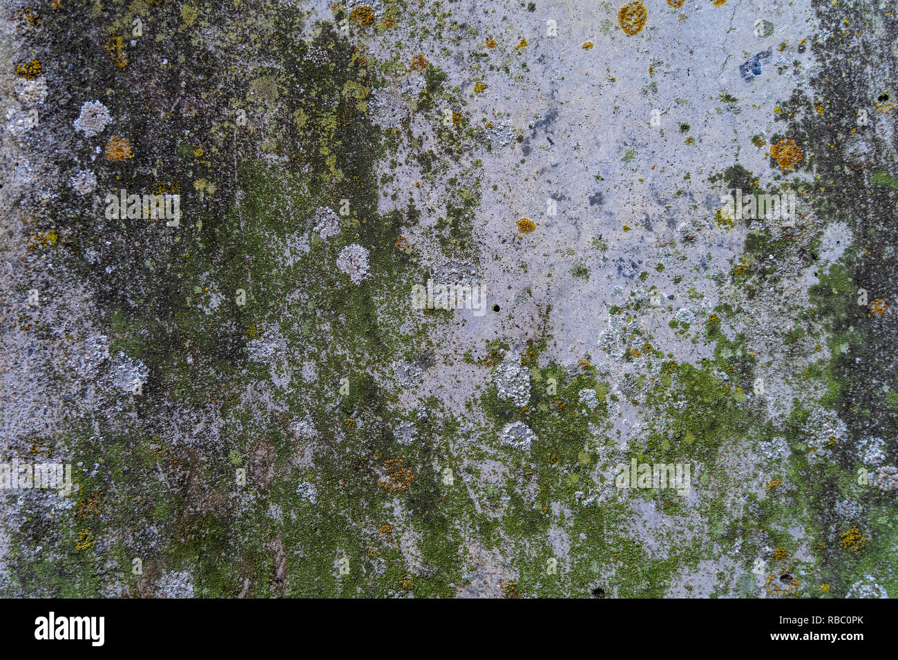 Green moss and rust on metal surface with patterns and cracks - high ...