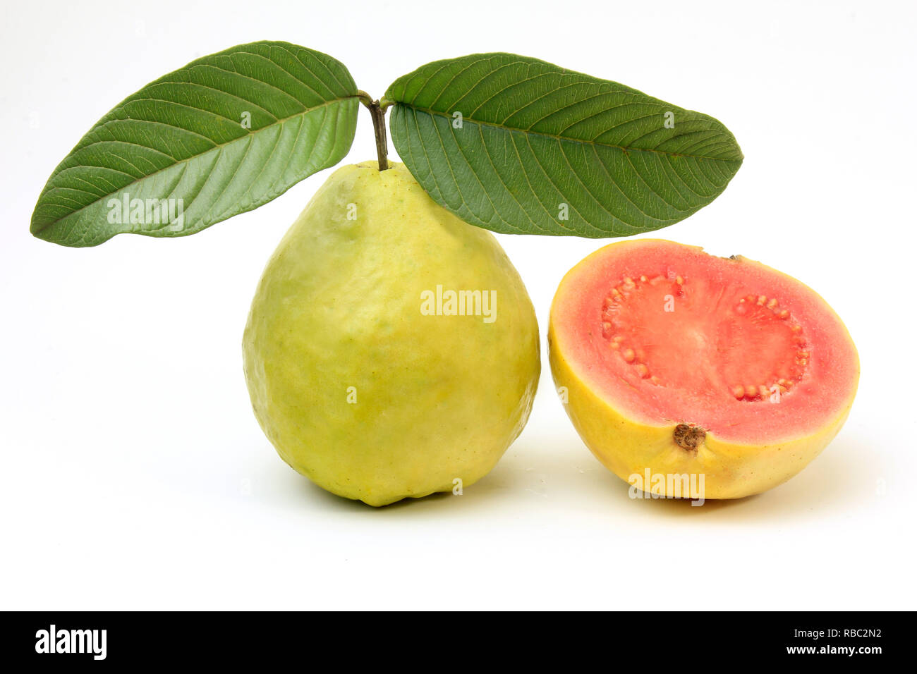 close-up guava fruit, pink, fresh, organic, with leaves, whole and ...