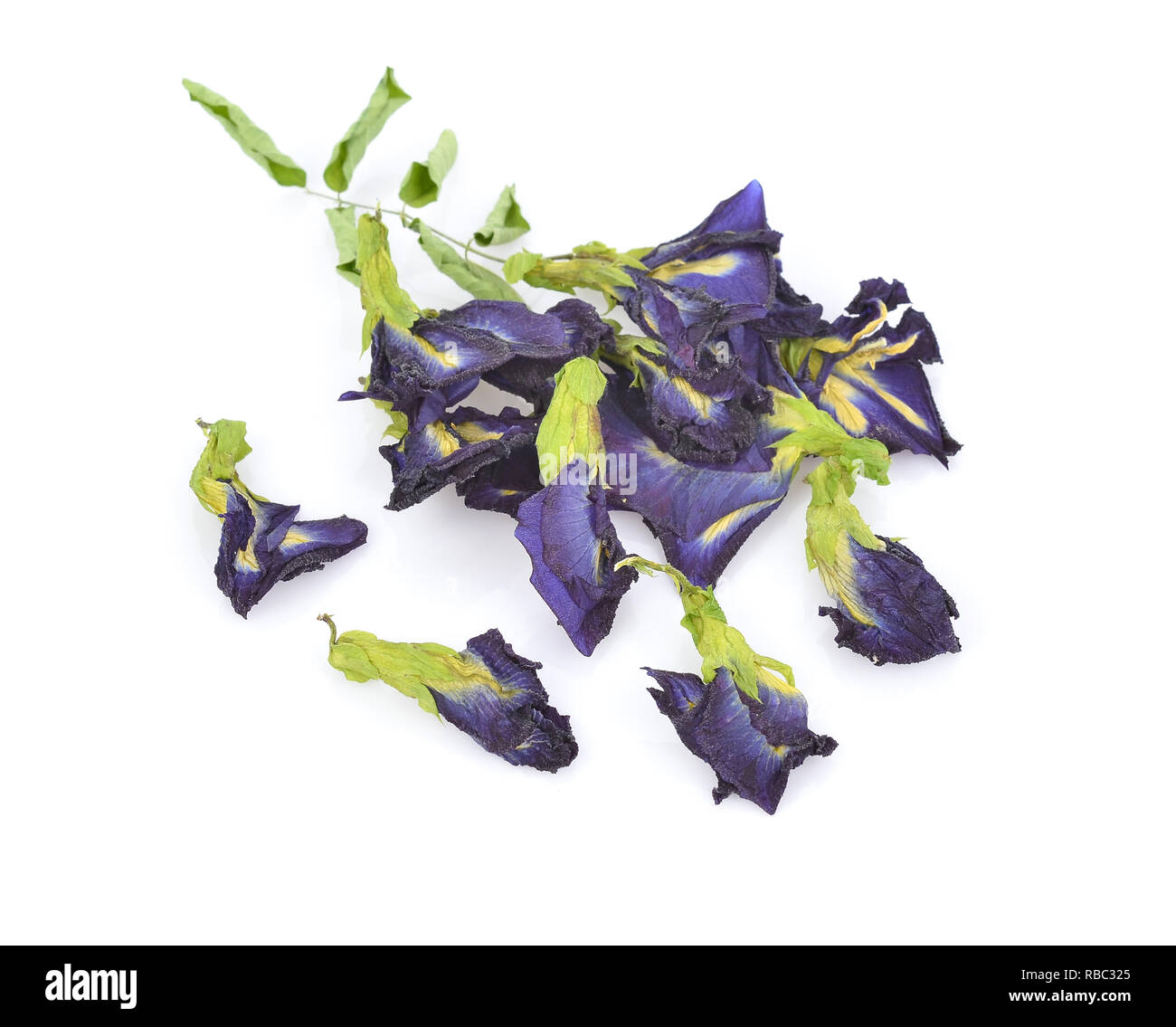 Clitoria ternatea or Aparajita flower isolated on white background ...
