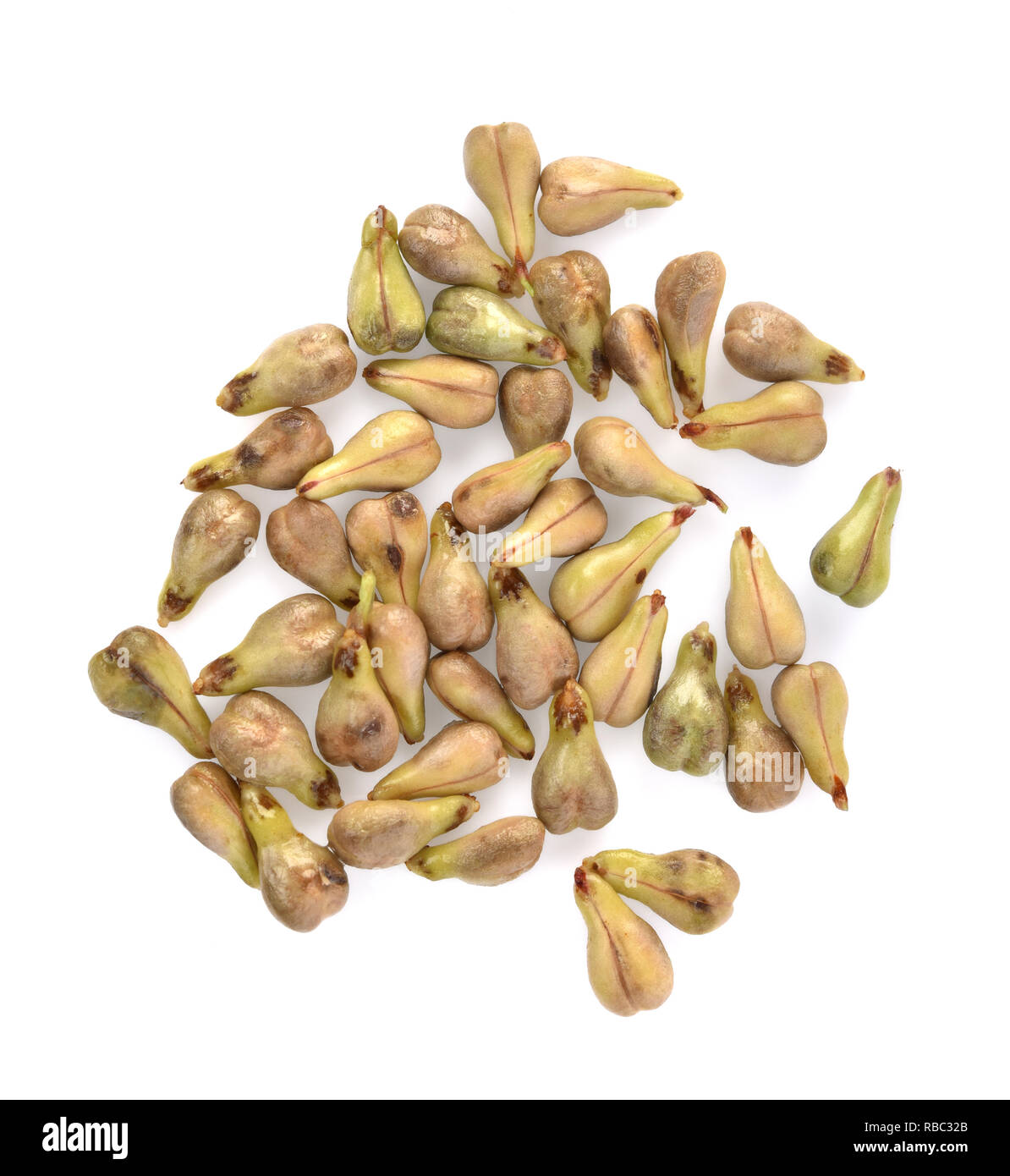 Top view of grape Seed isolated on white background Stock Photo - Alamy