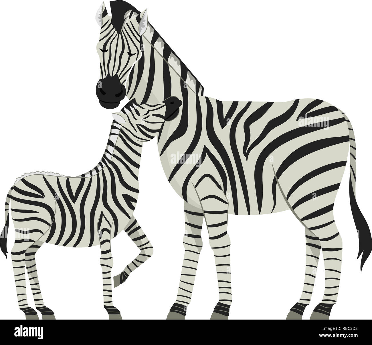 Illustration of a Zebra Mother with Her Young Zebra Called Foal Stock ...