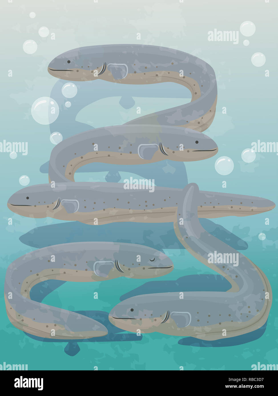 Electric eel hi-res stock photography and images - Alamy