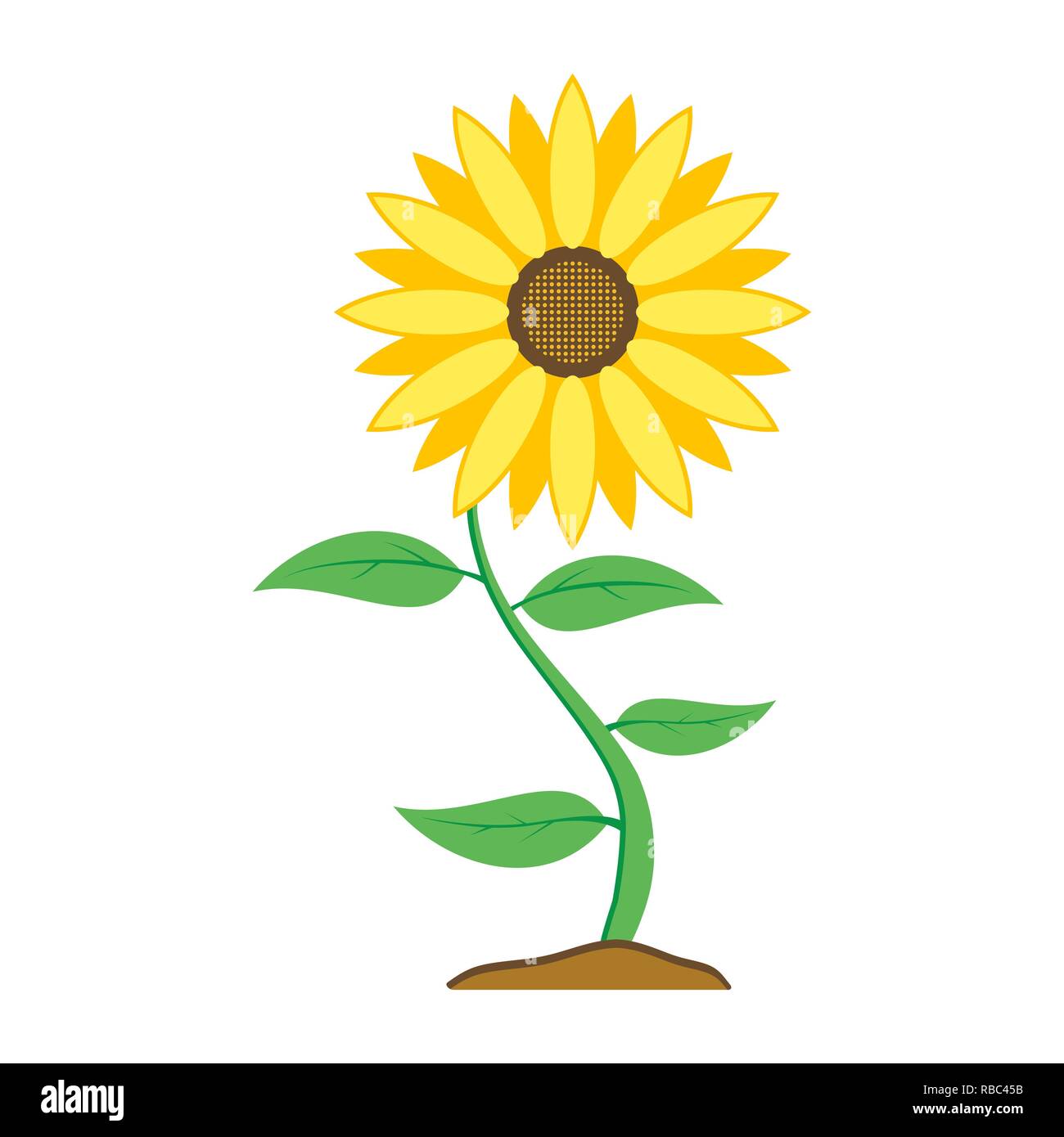 White blossom green leaves growing Stock Vector Images - Alamy