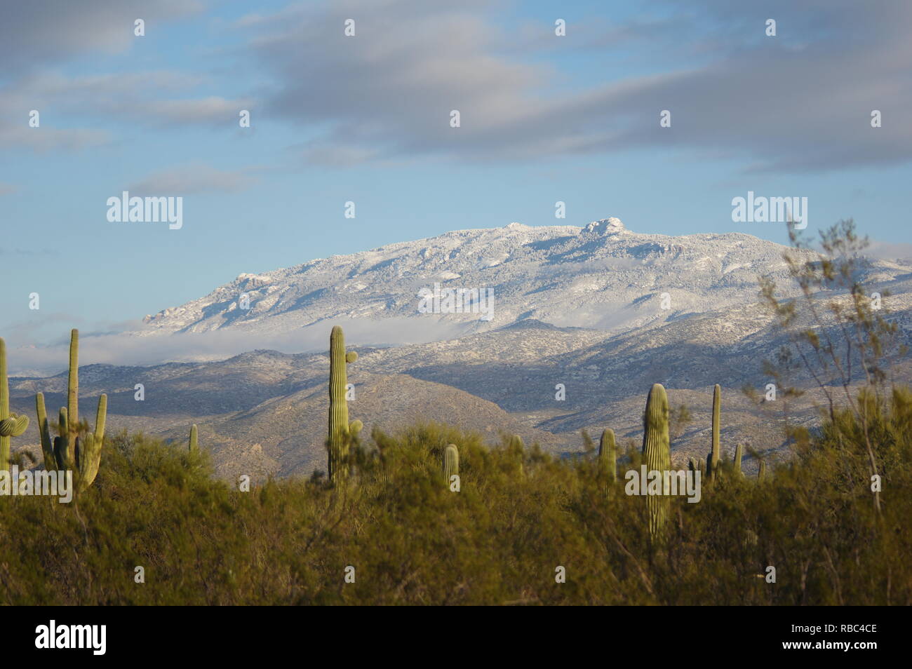 Saguaro national park winter seen hi-res stock photography and images ...