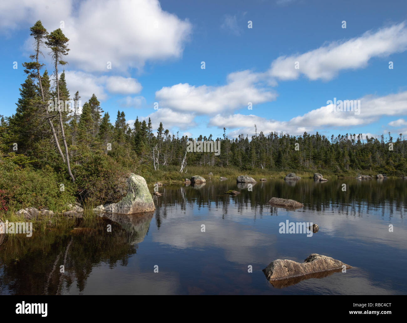 Trees landforms hi-res stock photography and images - Alamy
