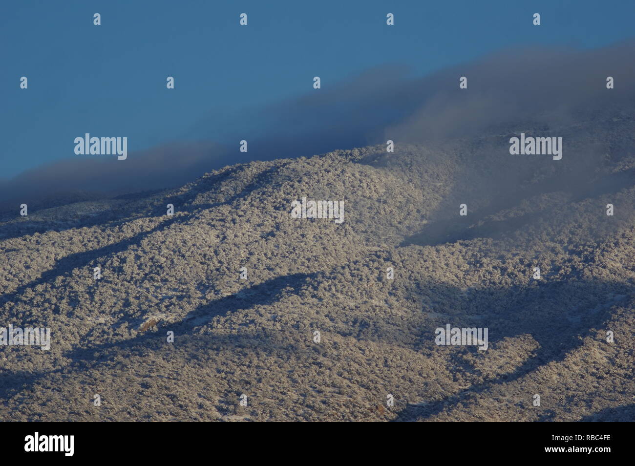 Saguaro national park winter seen hi-res stock photography and images ...