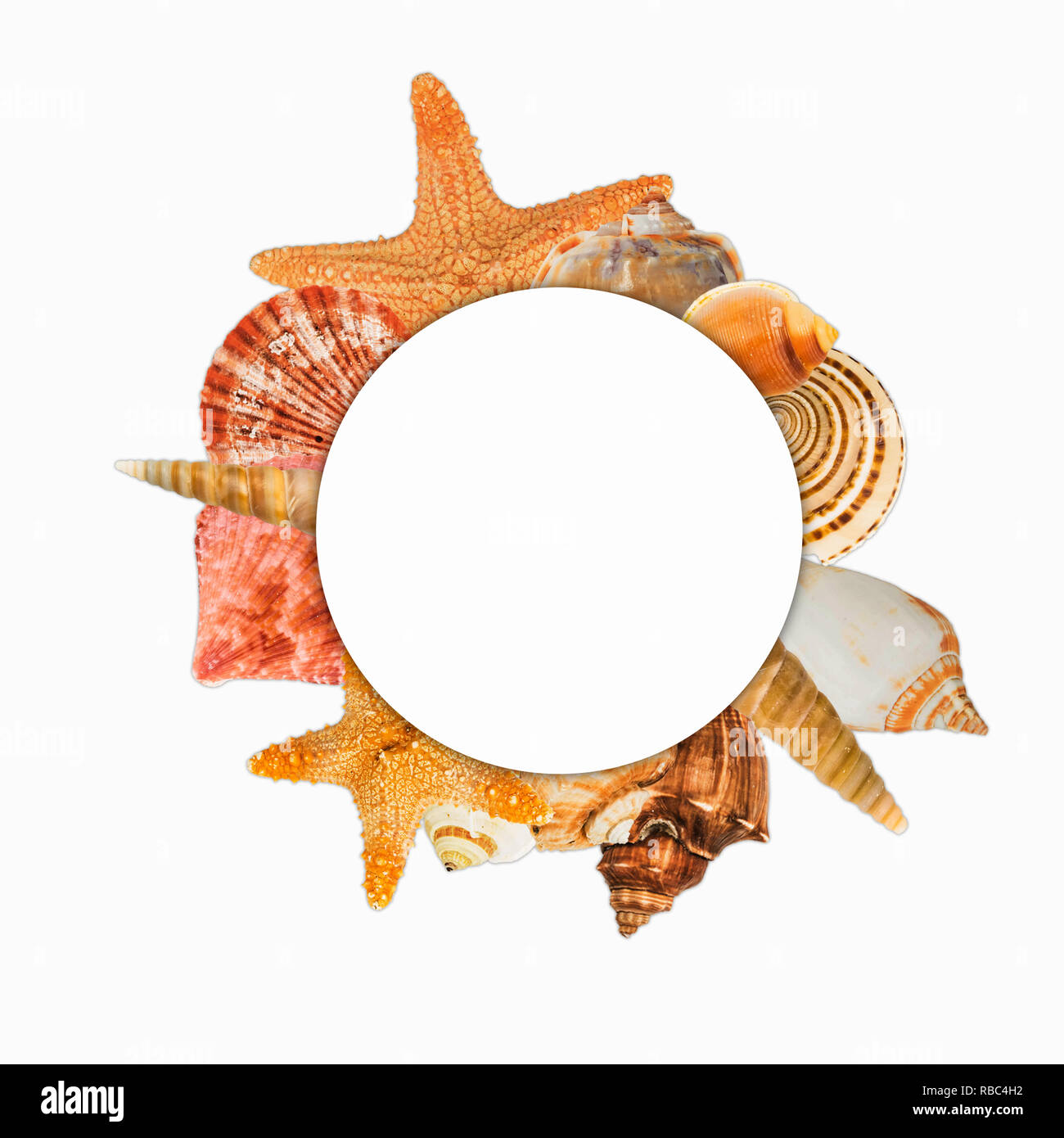 shellfish design for label on white background Stock Photo - Alamy