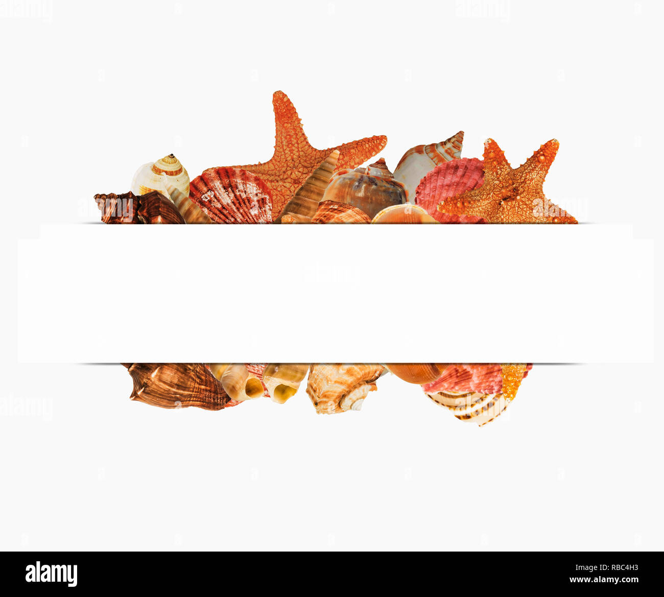 shellfish design for label on white background Stock Photo - Alamy