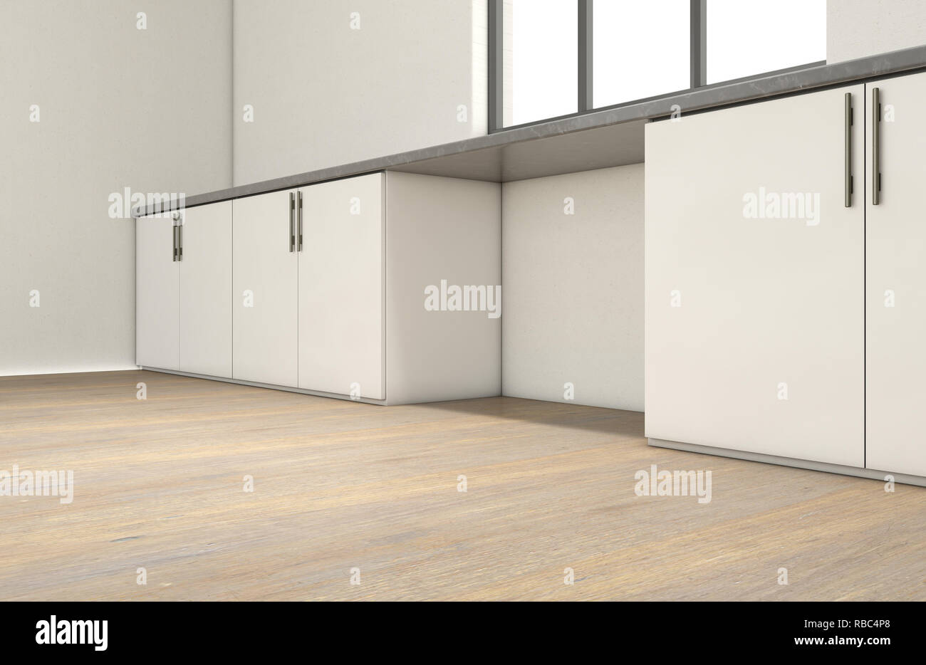 An interior of a very clean empty kitchen with a row of built in ...
