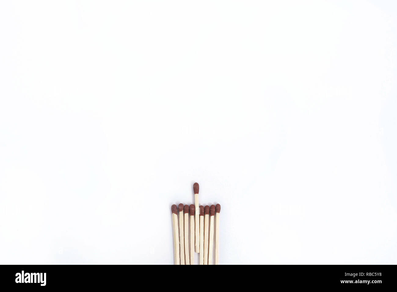 Portrait of matches with brown head. Isolated on the white background ...