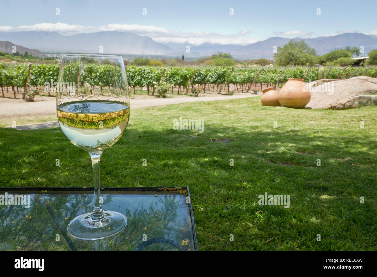 Beautiful white wine in hi-res stock photography and images - Alamy
