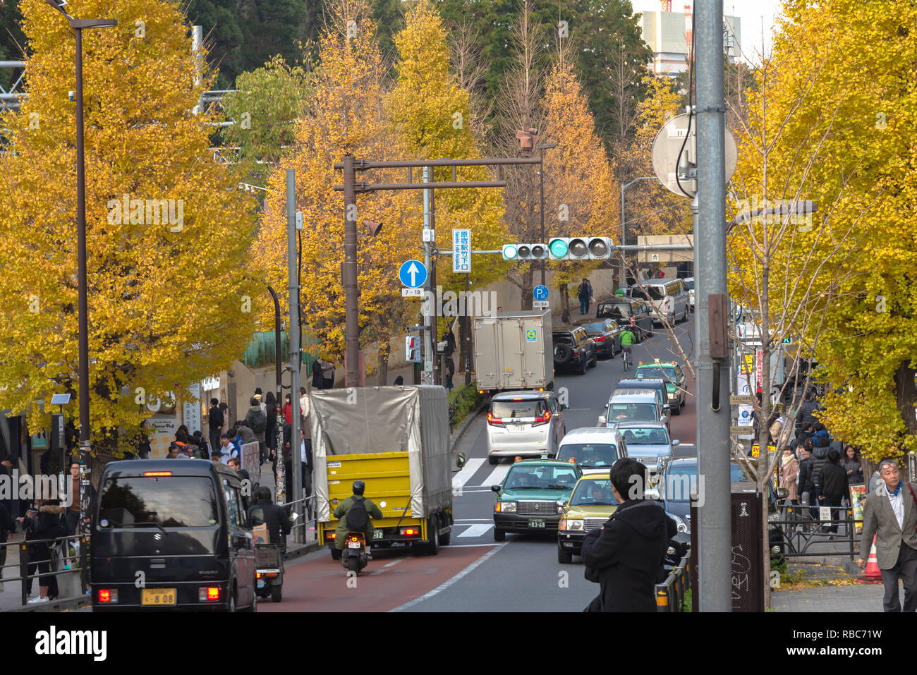 Harajuku street view when ginkgo tree turns yellow in fall in Tokyo ...