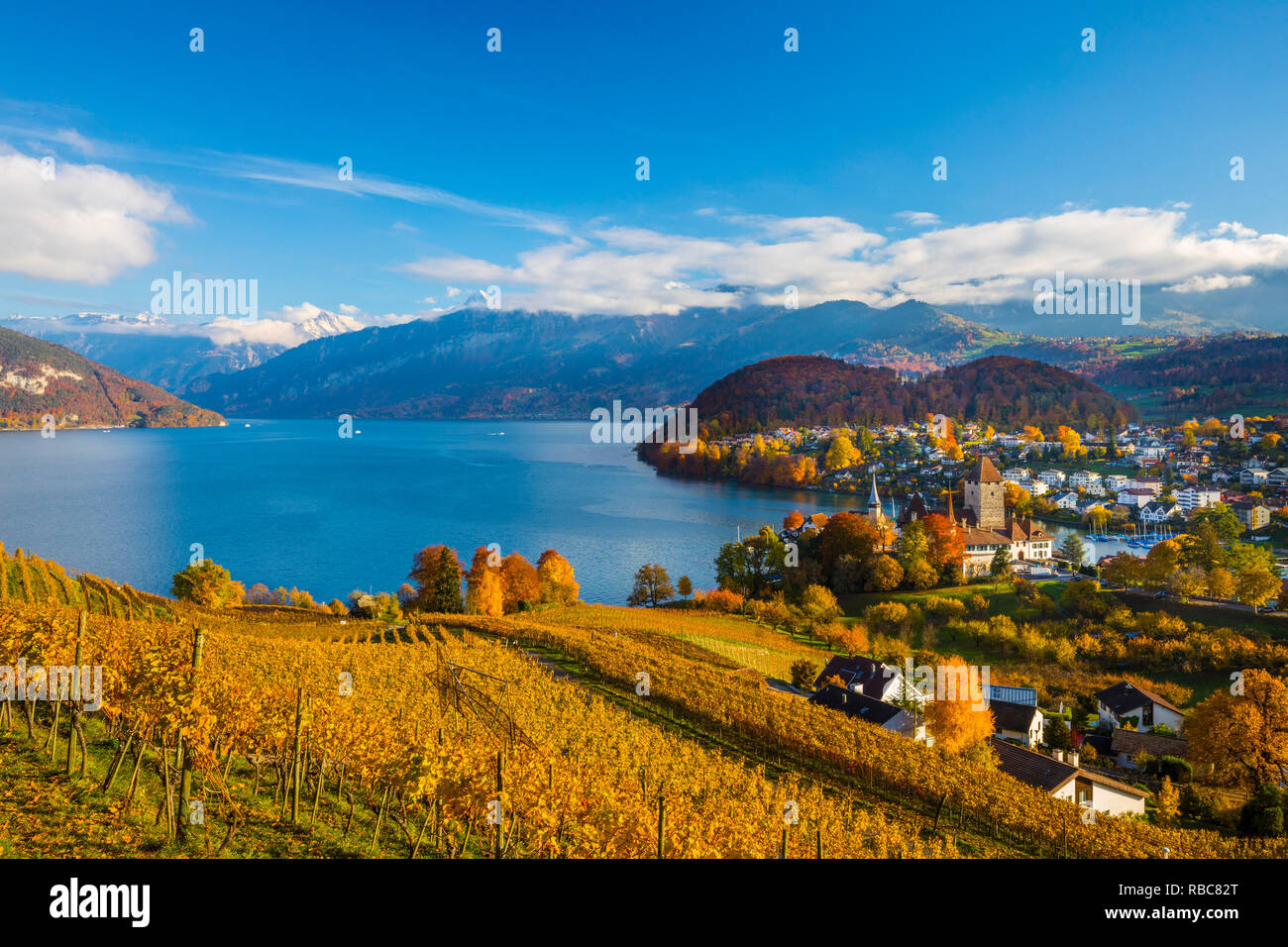 Spiez vineyard hi-res stock photography and images - Alamy