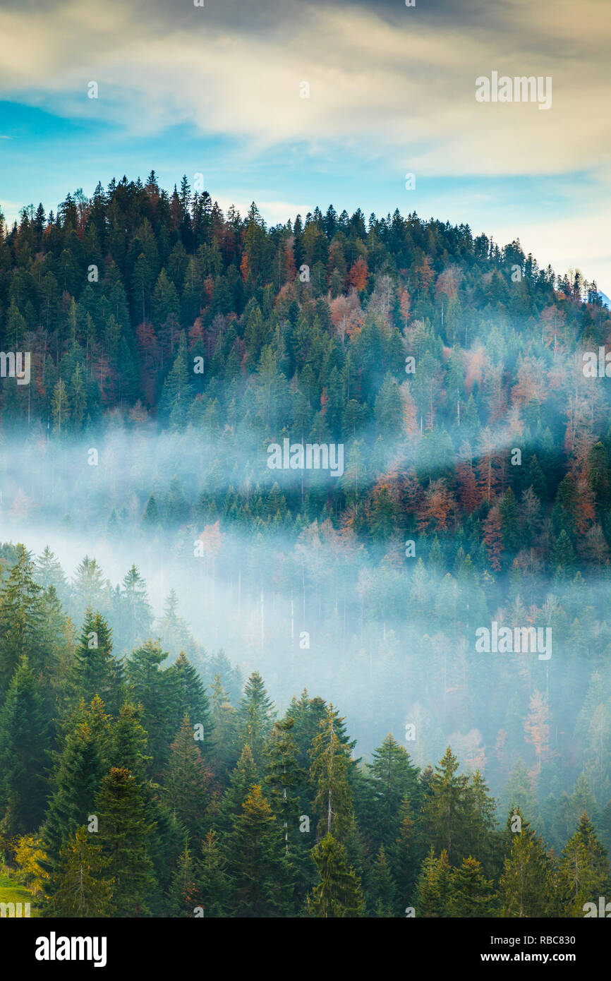 Emmental Valley, Berner Oberland, Switzerland Stock Photo - Alamy