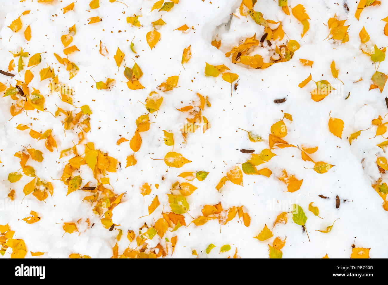 Winter yellow background snow hi-res stock photography and images - Alamy