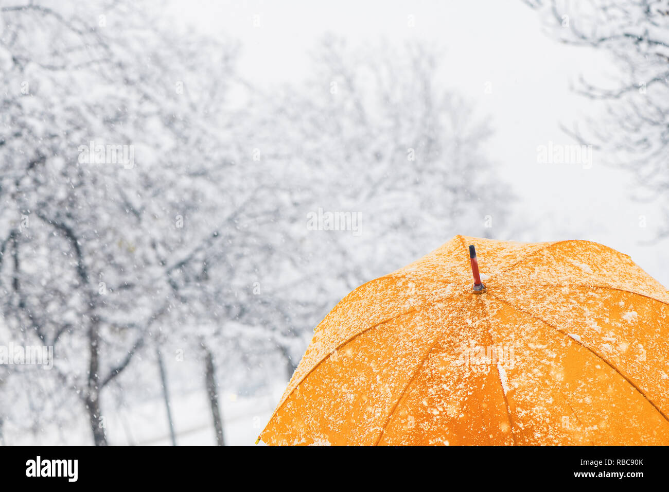 Frost umbrella hi-res stock photography and images - Alamy