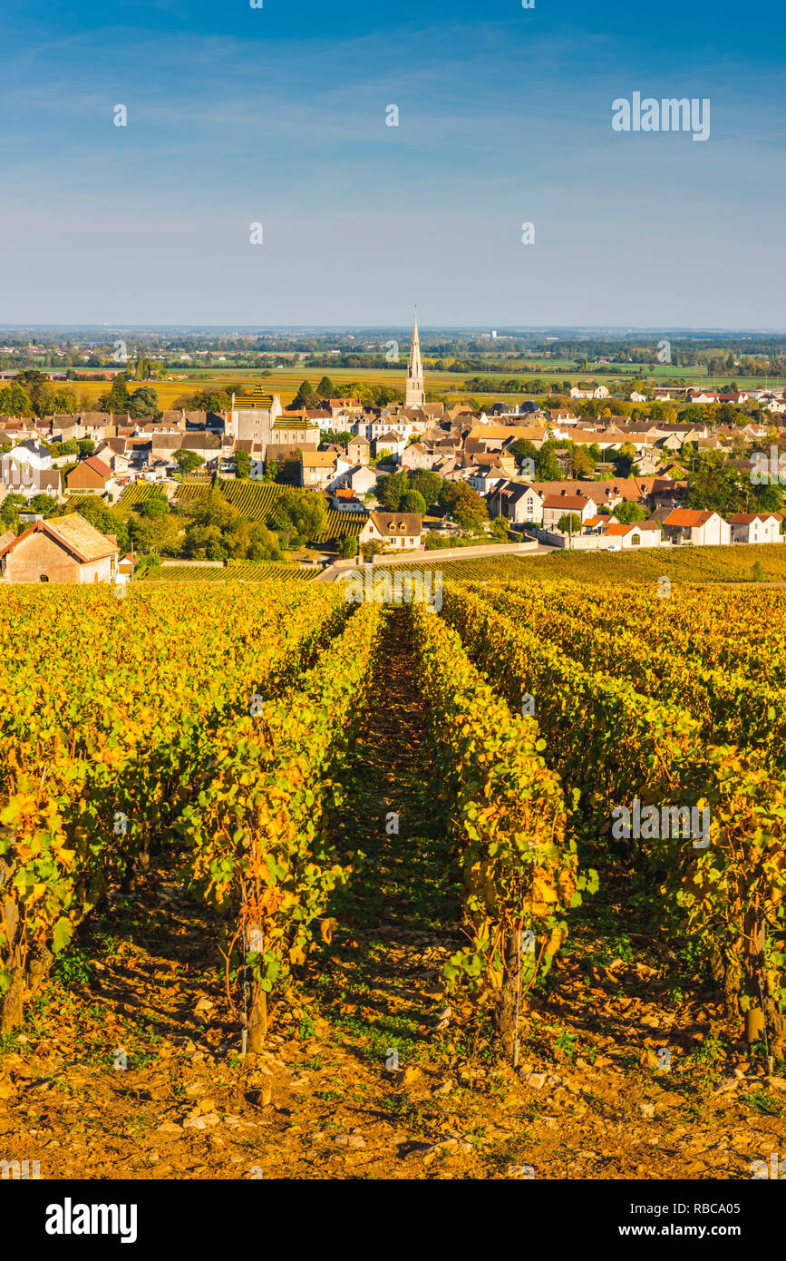 France, Bourgogne-Franche-Comte, Burgundy, Cote-d'Or, Meursault Stock ...
