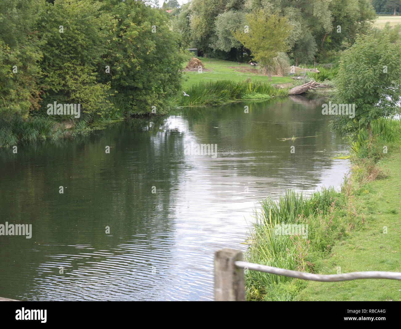 View of the river Nene Stock Photo - Alamy