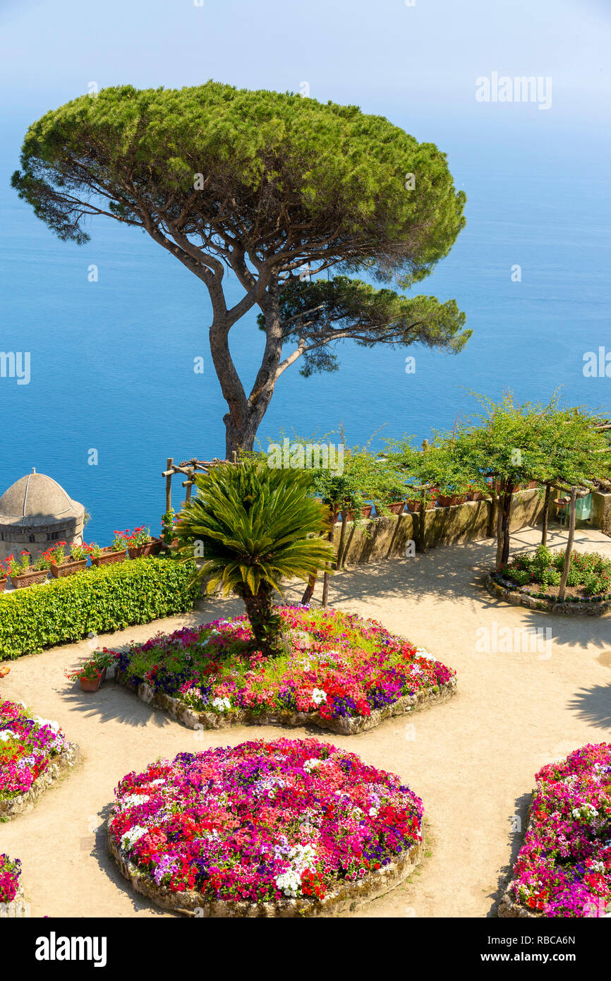 Sorrento Italy Flowers High Resolution Stock Photography and Images - Alamy