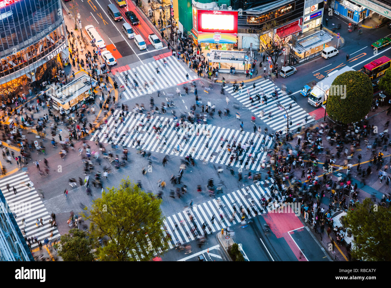 Elevated view of famous Shibuya pedestrian crossing, Tokyo, Japan Stock Photo - Alamy