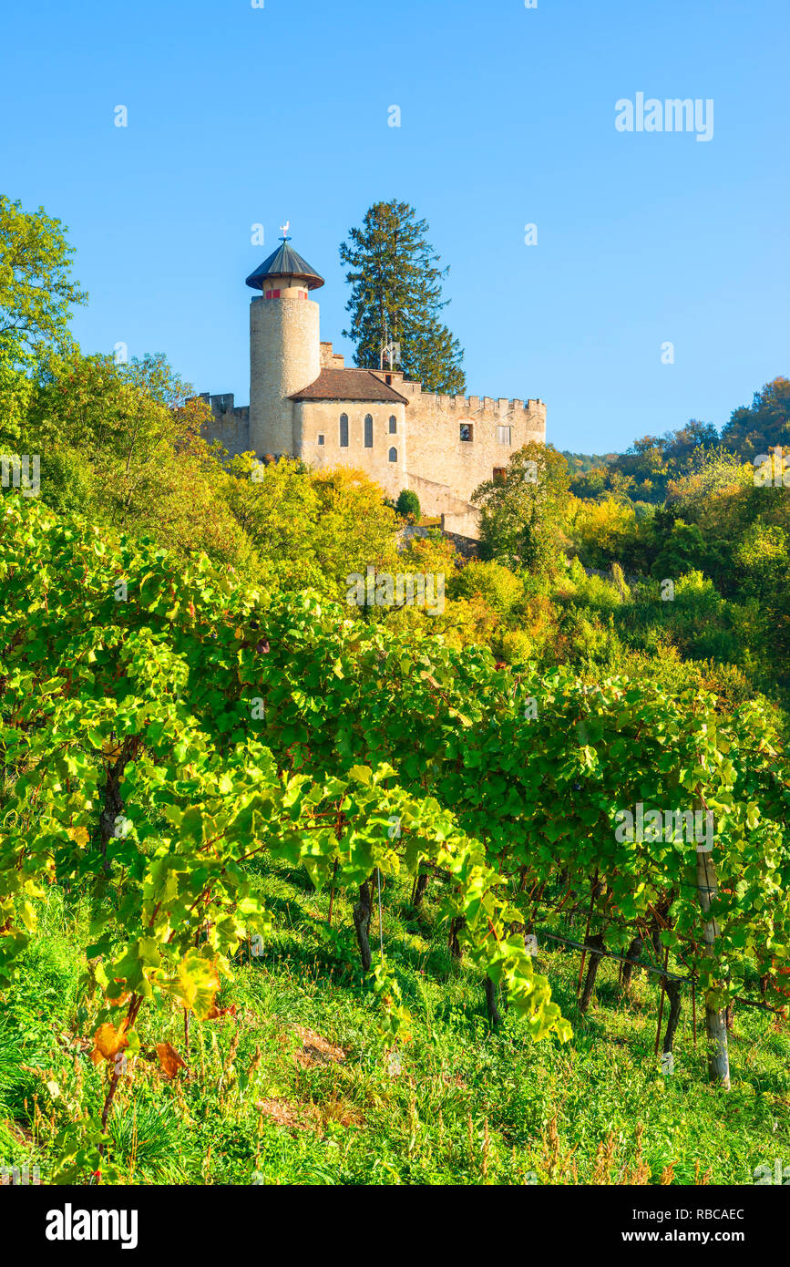 Birseck castle, Arlesheim, Basel-Country, Switzerland Stock Photo - Alamy