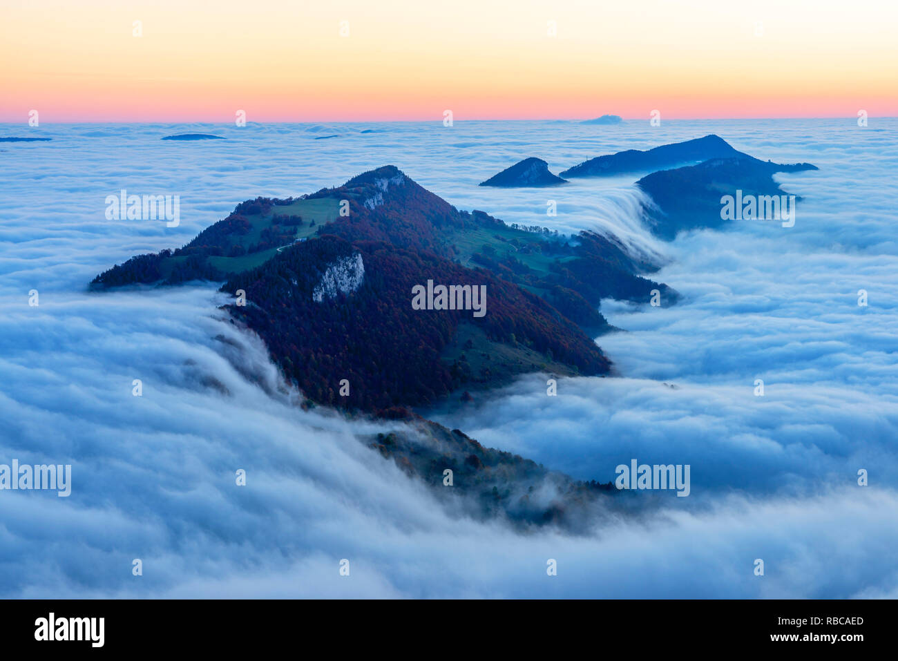 Weissenstein hi-res stock photography and images - Alamy