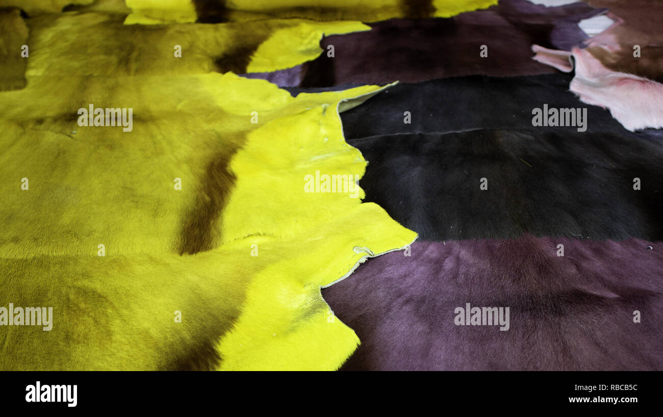 Wolf skins hi-res stock photography and images - Alamy