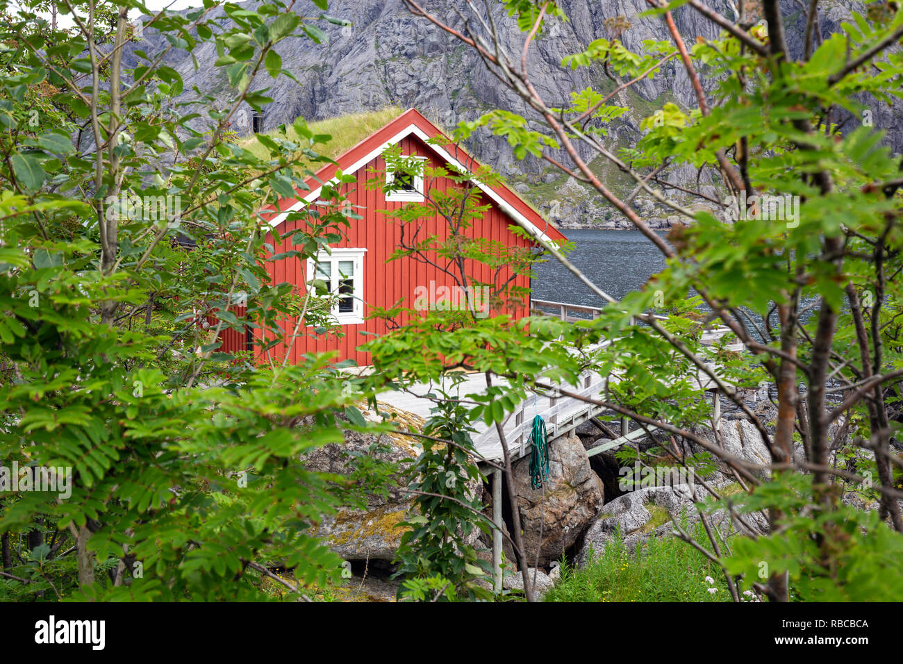 Red wooden house called rorbu at the Lofoten archipelago, North Norway ...