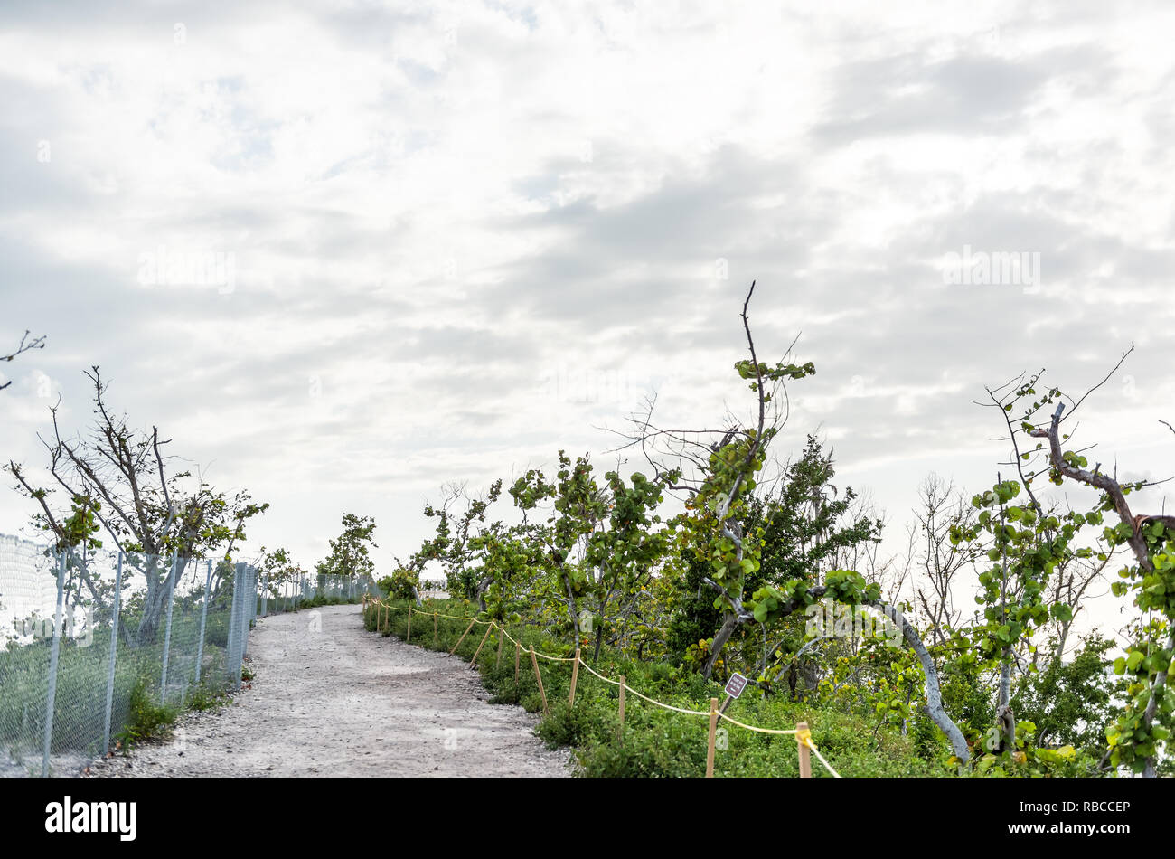 Old Bahia Honda Bridge Trail in state park during day in Florida Keys ...