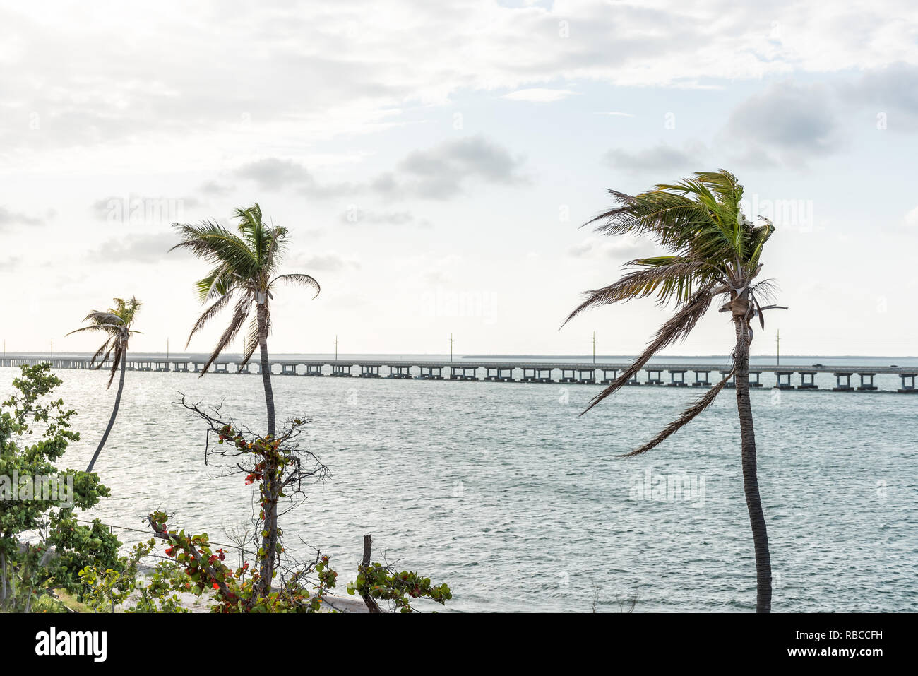 Florida keys aerial hi-res stock photography and images - Alamy