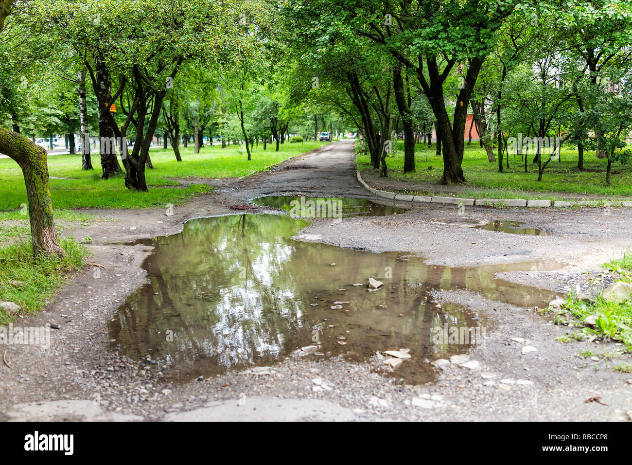 Rain Puddle On Sidewalk