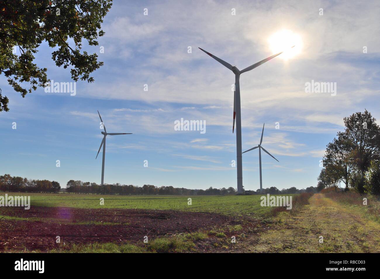 Wind mills in a alternative energy wind park in northern germany Stock ...