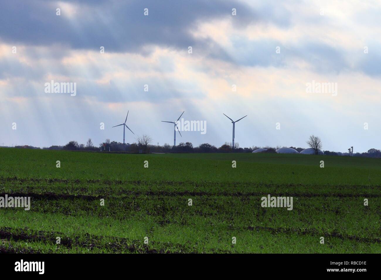 Wind mills in a alternative energy wind park in northern germany Stock ...