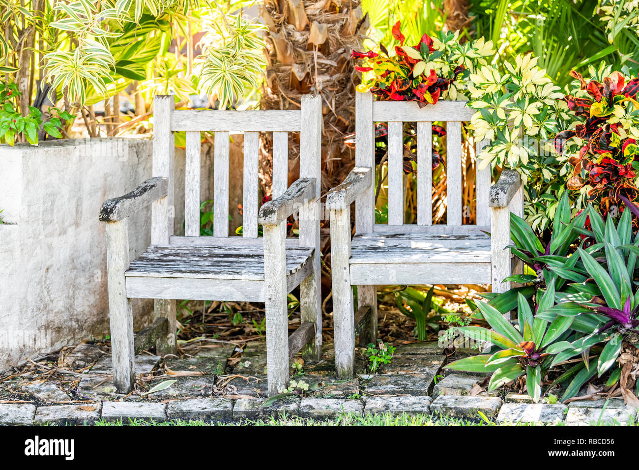 Closeup of two empty wooden chairs and nobody in patio outdoor garden ...