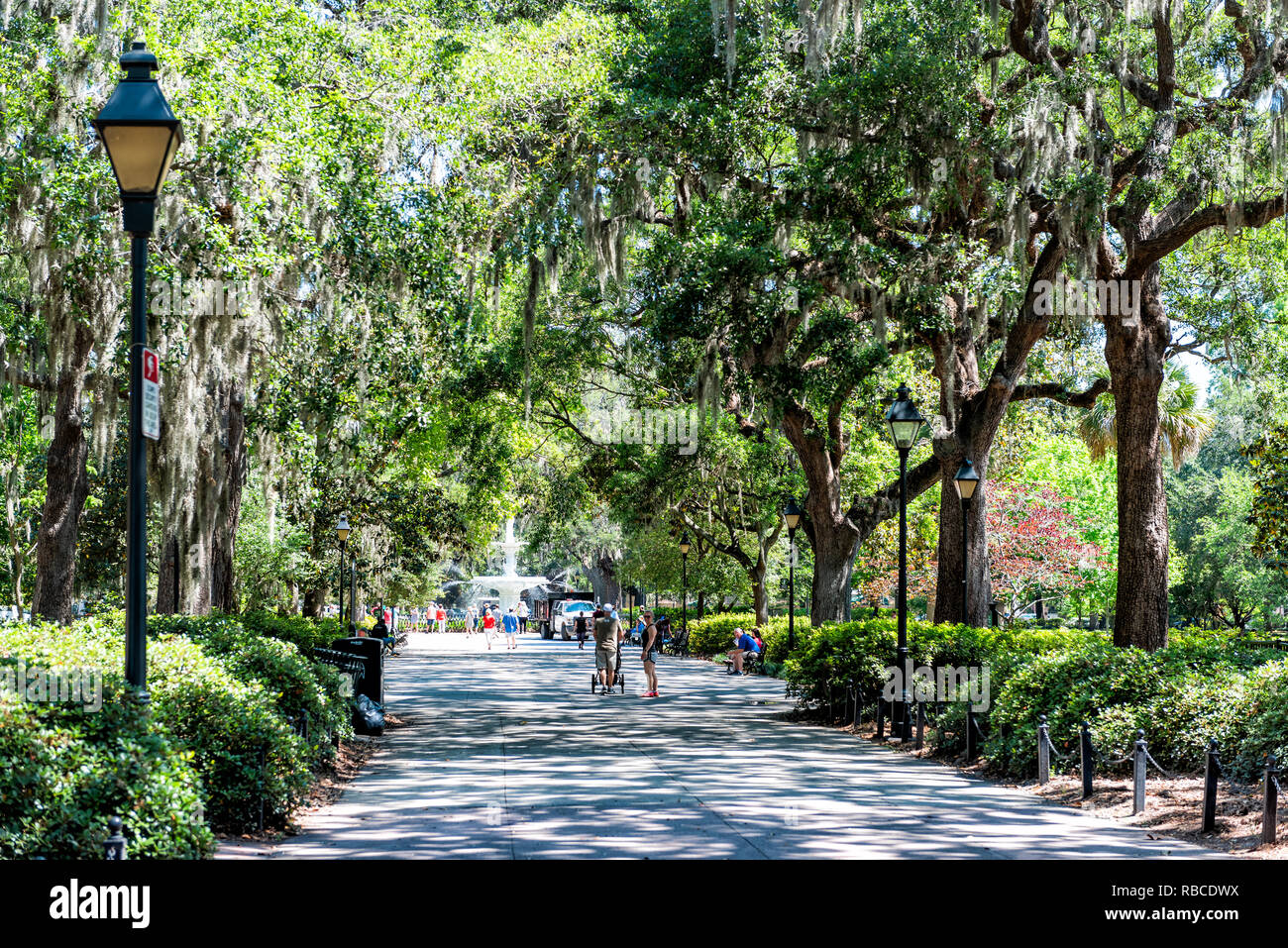 Forsyth park savannah hi-res stock photography and images - Alamy