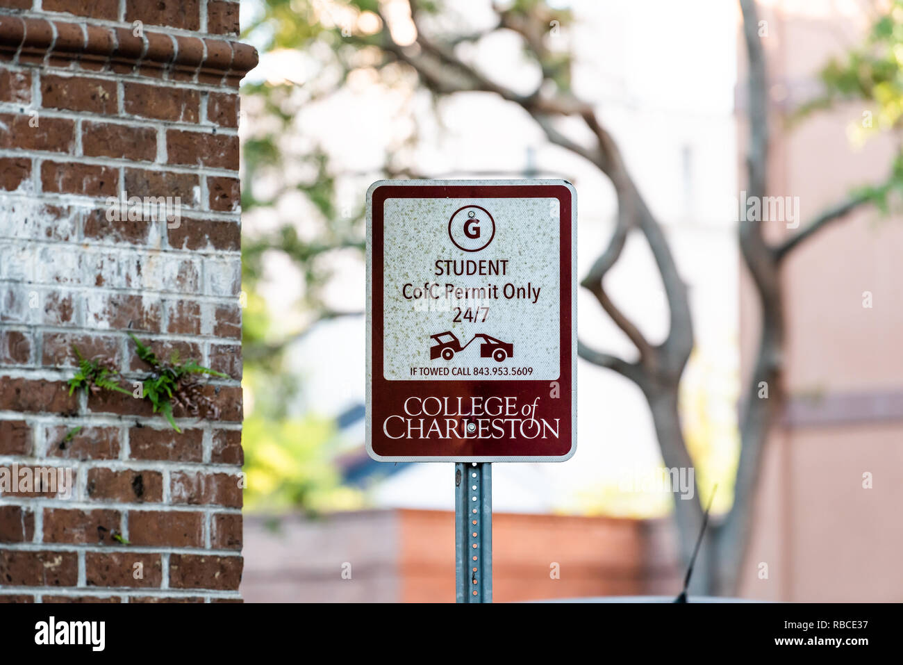 Vehicle permit hi-res stock photography and images - Alamy